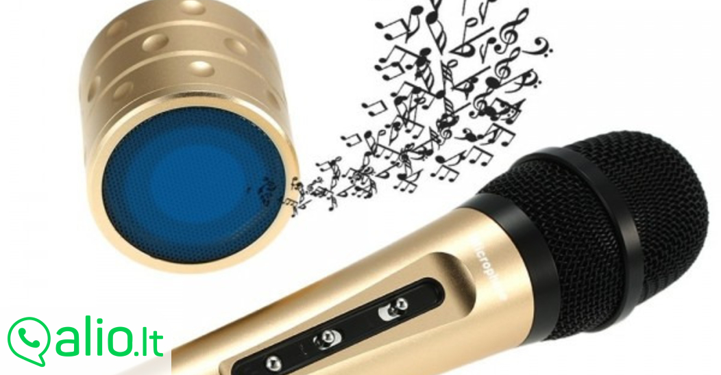 PUIKIOS DOVANŲ IDĖJOS KARAOKE MIKROFONAI | Alio.lt