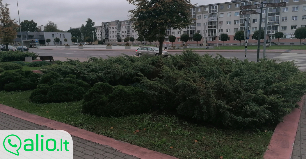 Komerciniu patalpu nuoma Jonavoje | Alio.lt