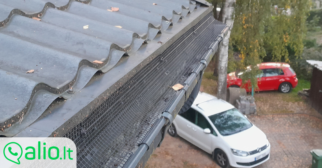Kaminų, lietvamzdžių ir latakų, sniego valymas | Alio.lt