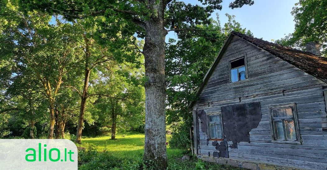 Išsimoketinai sodyba Biržų r. sav., Papilio sen. | Alio.lt