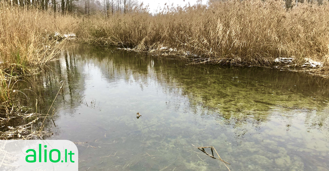 SKLYPAS ŽAGARINĖS KM., ŠALČININKŲ RAJ. | Alio.lt