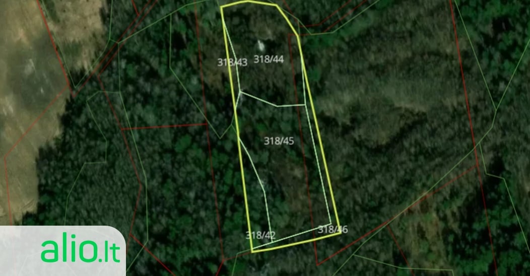Parduodamas 1,39 ha miškas Švenčionių raj. | Alio.lt